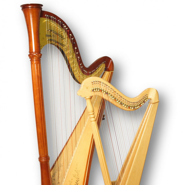 Harfe - Angebot - Musikschule Pfannenstiel